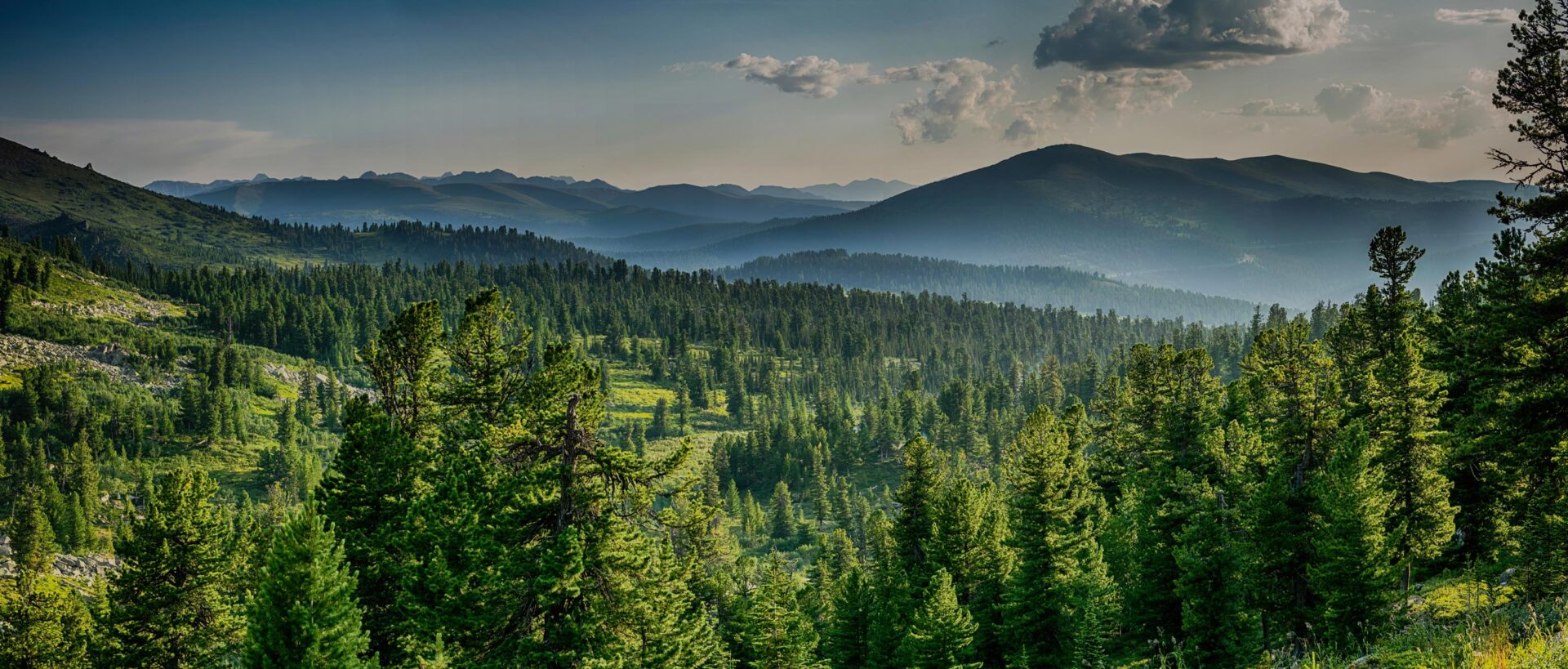 Governance -The Hospitality Alliance for Responsible Procurement (HARP ...